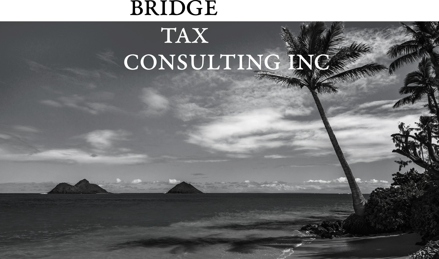 Disclaimers | BRIDGE TAX CONSULTING